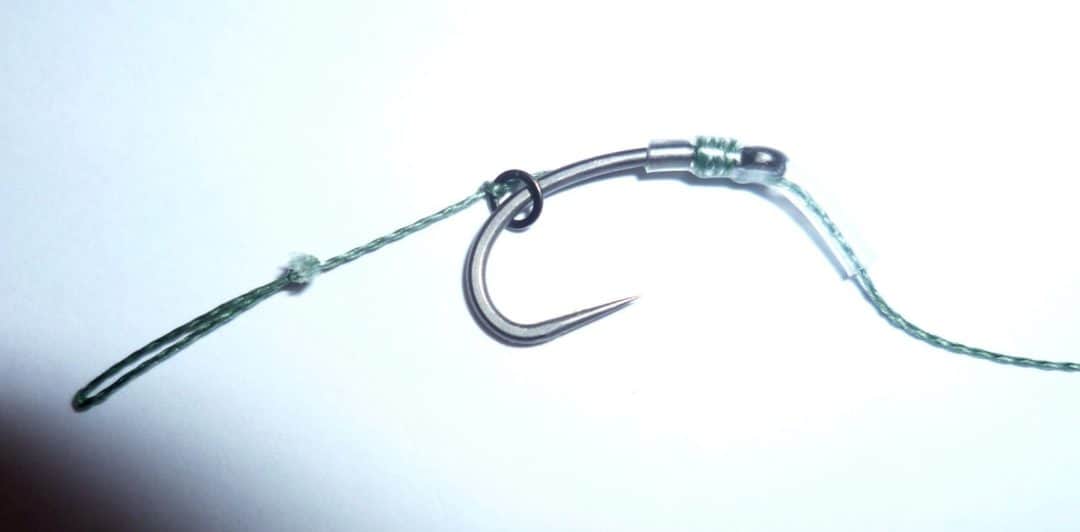 Feeder Fishing Method For Beginners - Fishing Again