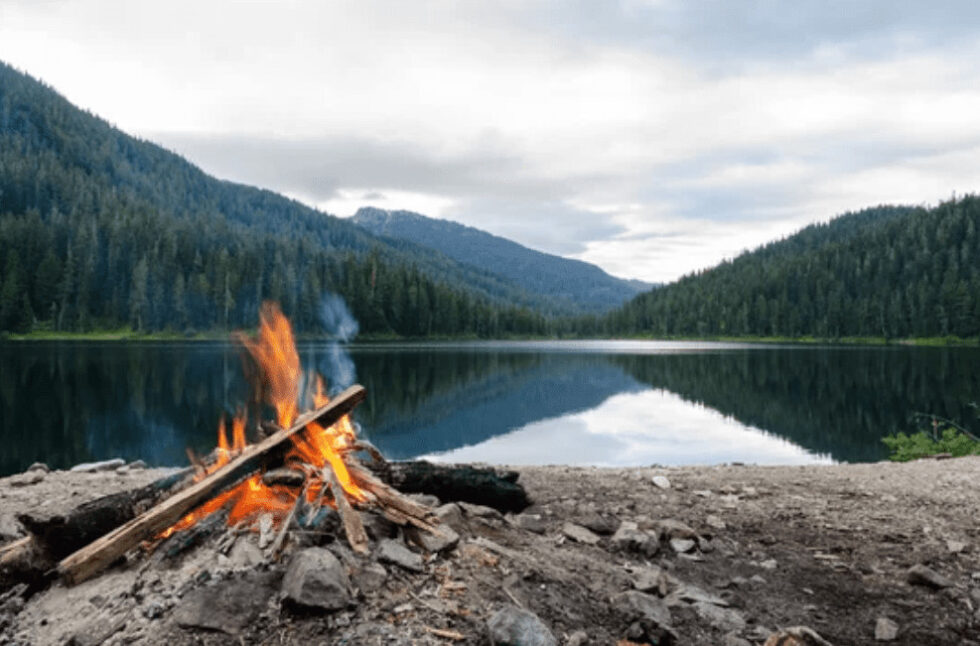 Reading Weather for Carp Fishing — How Pressure, Wind, and Temperature ...
