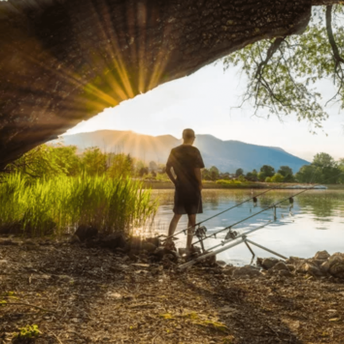 Carp Fishing in France: An Essential Guide - Fishing Again