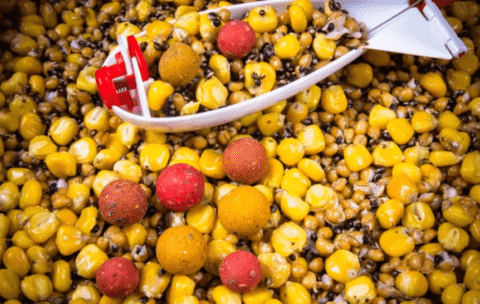 What is Spodding? An Overview of Tackle, Tips & Techniques