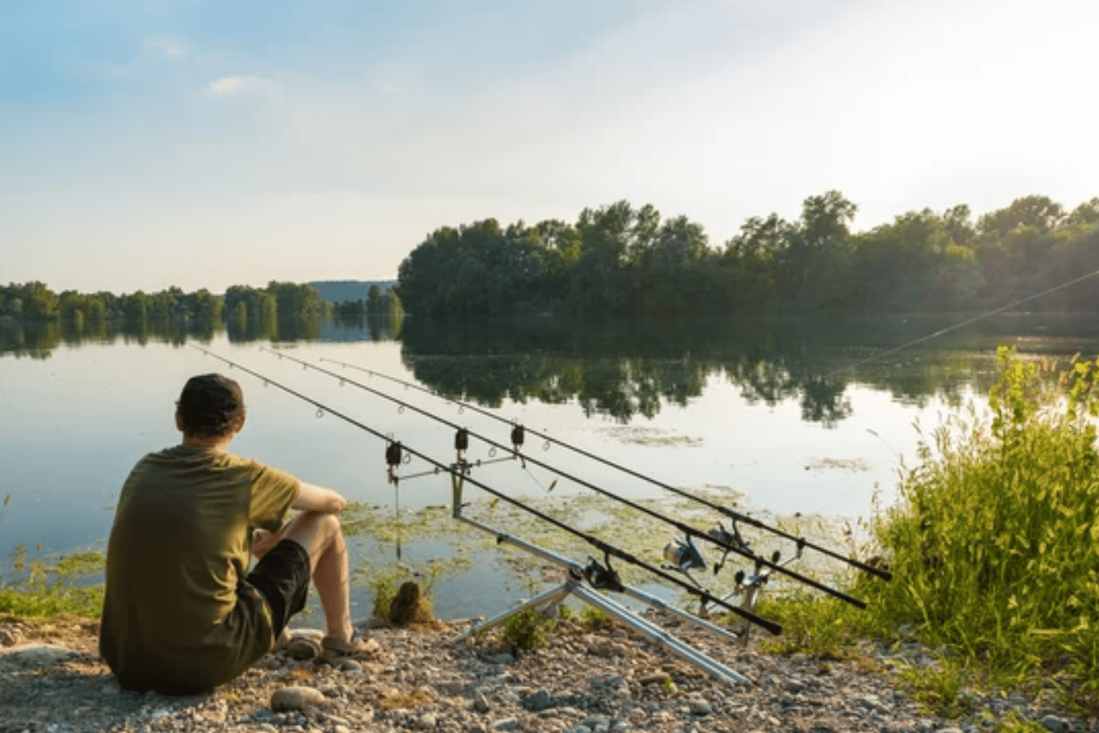 Successful Carp Fishing in Summer: Tackle Box Tips