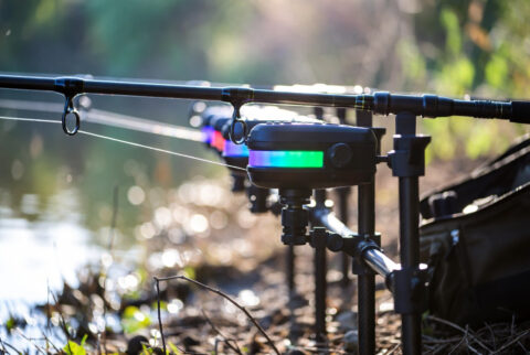 Understanding Bite Alarms and Indicators for Carp Fishing - Fishing Again