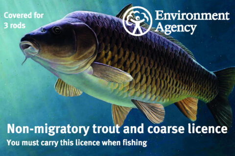 How to Get a UK Fishing Licence – Everything You Need to Know | Fishing ...